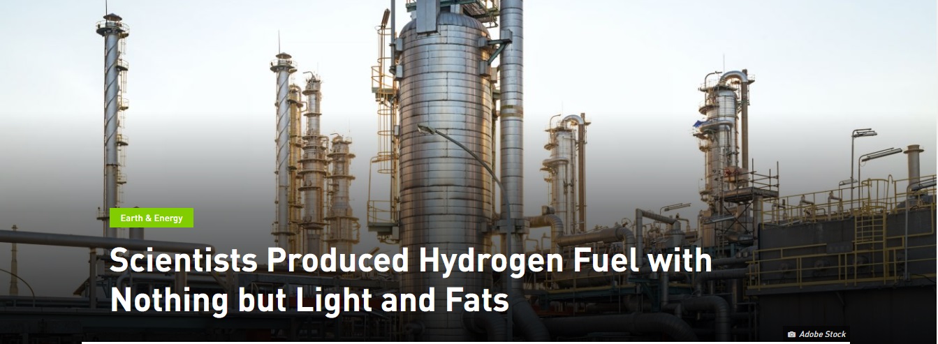 Scientists Produced Hydrogen Fuel with Nothing but Light and Fats ...